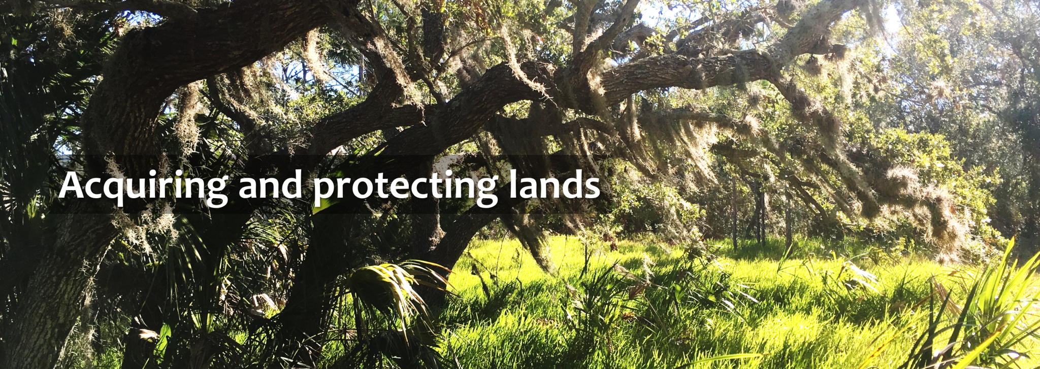 Florida’s Nature Coast Conservancy