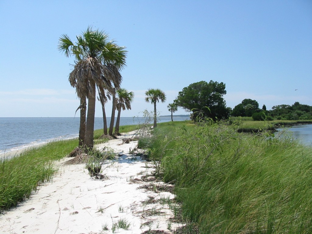 Florida’s Nature Coast Conservancy – Preserving Florida’s Nature Coast