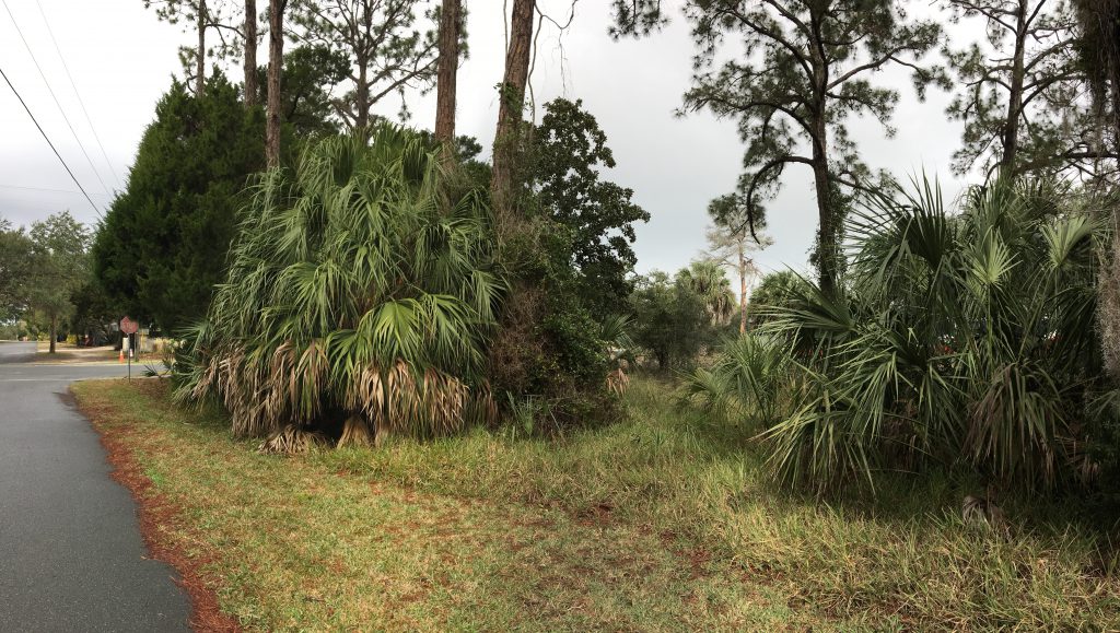 Frank Patillo Property Donation – Florida’s Nature Coast Conservancy