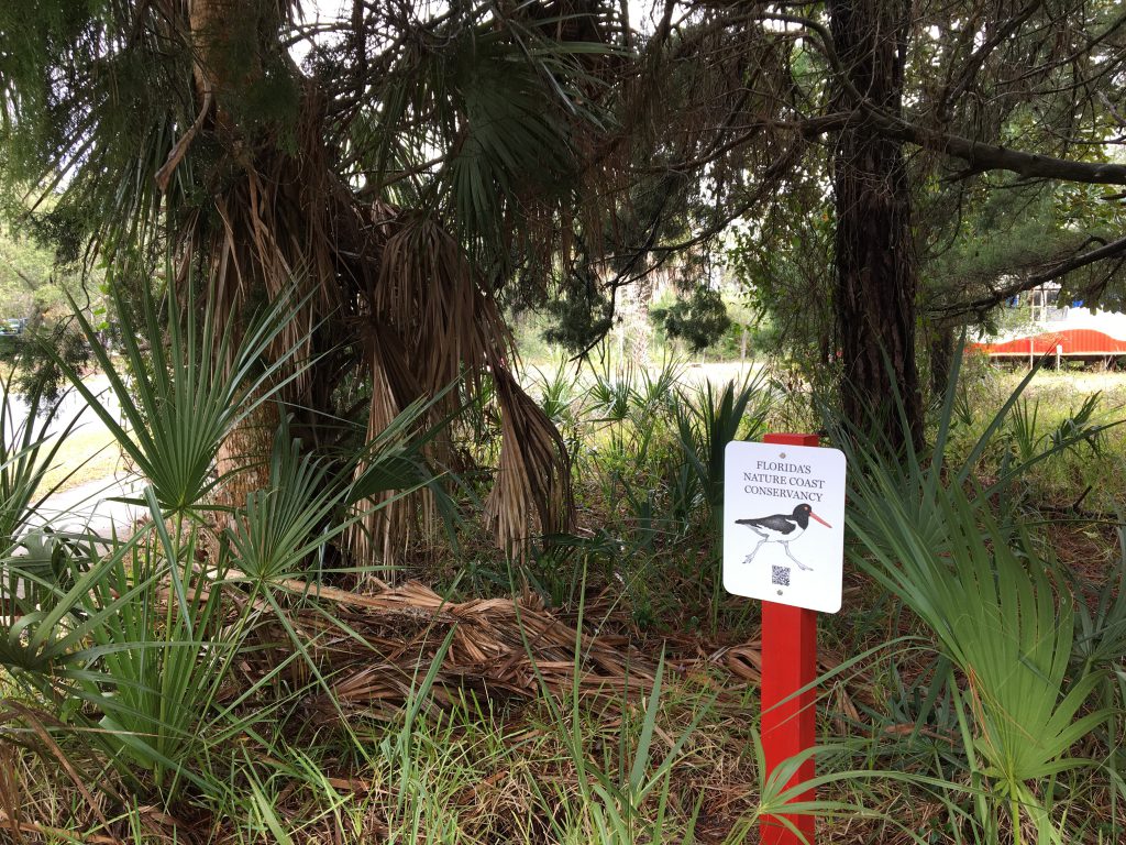 Frank Patillo Property Donation – Florida’s Nature Coast Conservancy