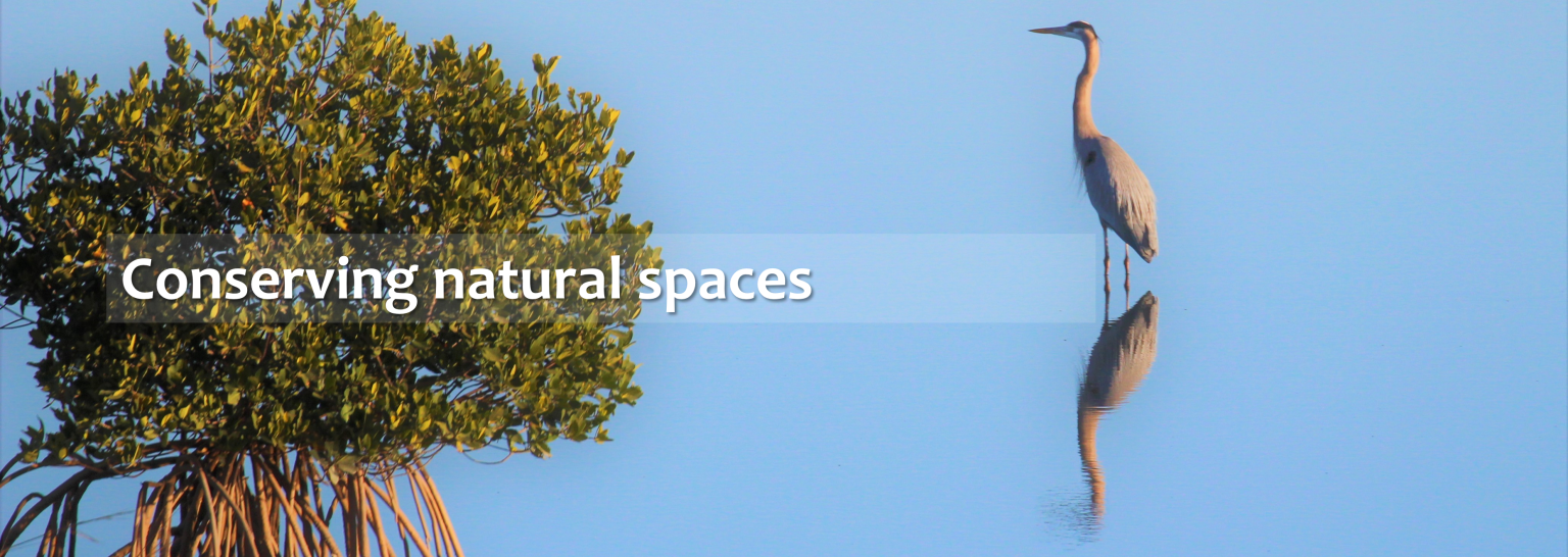Florida’s Nature Coast Conservancy